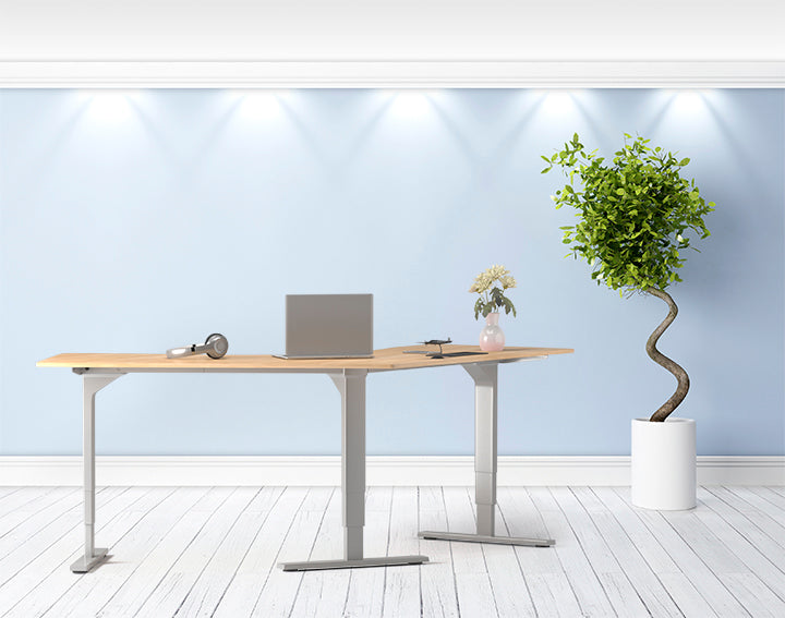 Progressive Desk V Ryzer Standing Desk Review